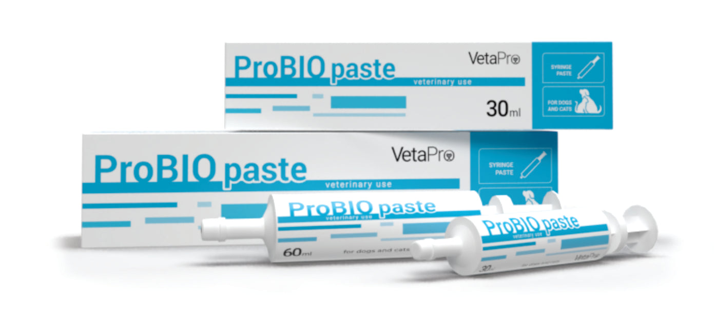 ProBio Paste 60 ml — Fitoveta